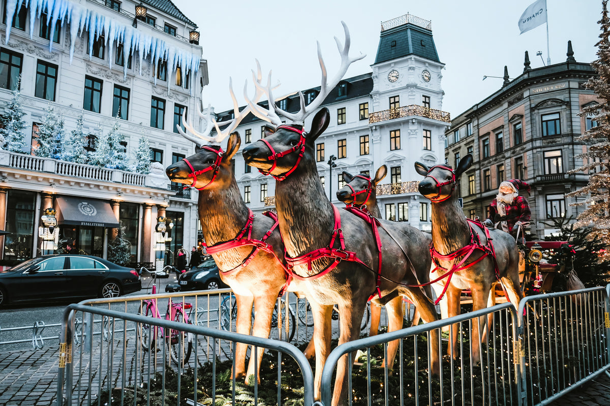 A List of Santa’s Reindeers Names [And Their Personalities] – Santas ...